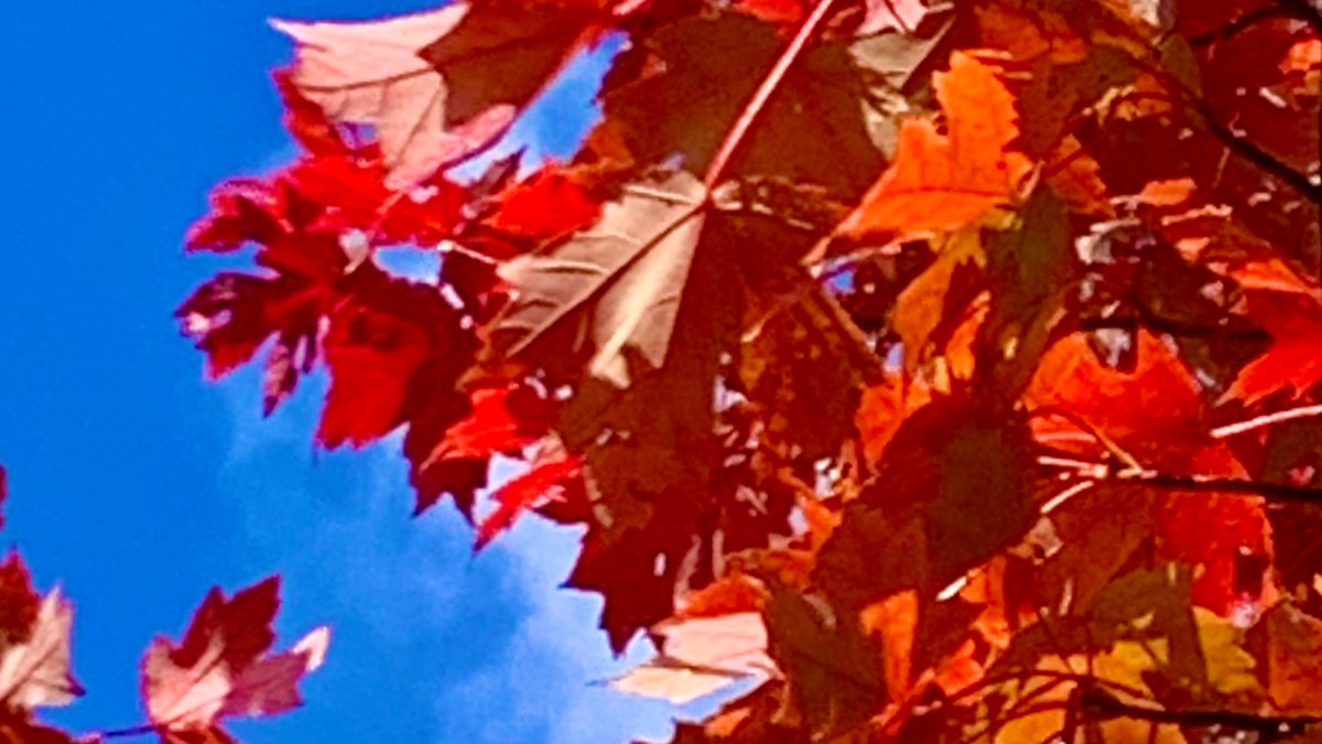 Fall Begins Sept. 22, But it Won’t Feel Like it in Texas – NBC 5 Dallas ...