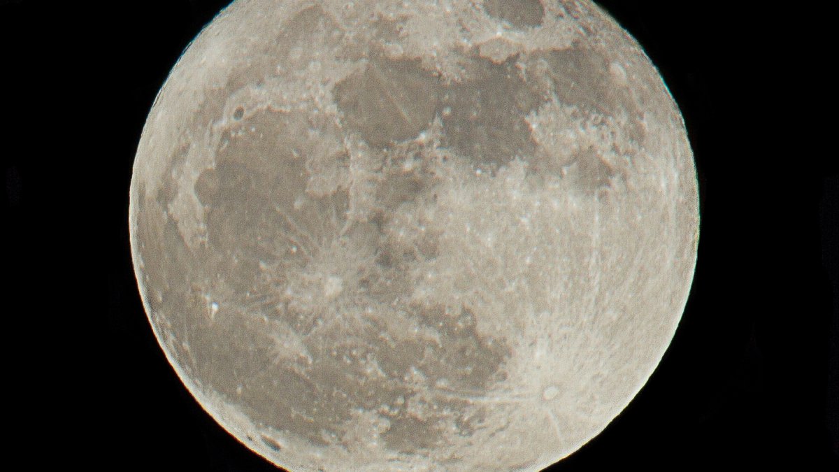 What is the Beaver Supermoon in November? – NBC 5 Dallas-Fort Worth