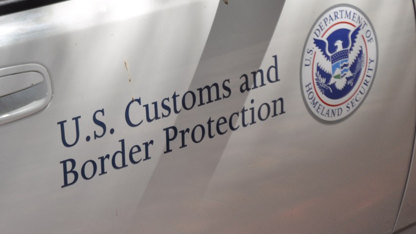 Dulles CBP Intercepts Dead Birds in Passenger’s Bag from China – NBC 5 ...