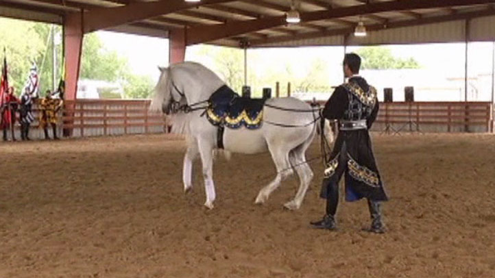Quiet Sanger Ranch Is Training Ground for Medieval Times – NBC 5 Dallas ...