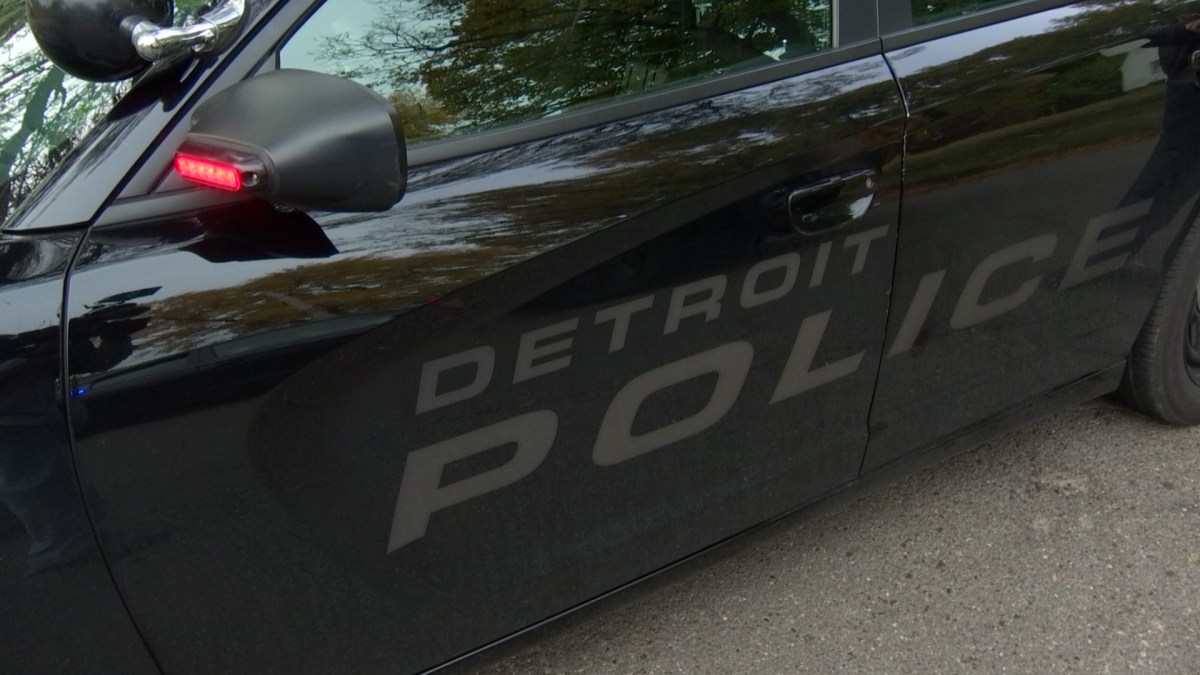 Vision 2020: Could Detroit Civilian Police Oversight Be the Future for ...