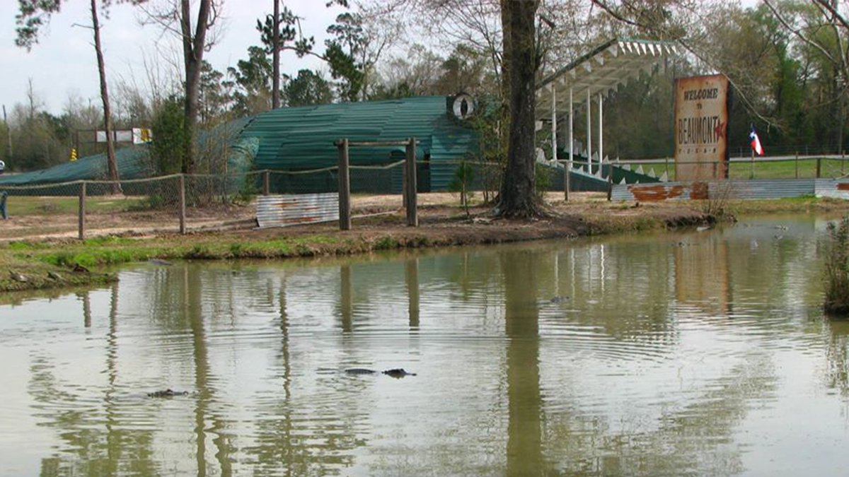 Gator Country Reopens Amid Pandemic – NBC 5 Dallas-Fort Worth