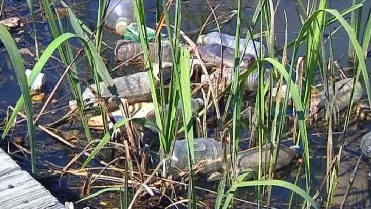 Lake Ray Hubbard Trash Piles Up After Heavy Rains – NBC 5 Dallas-Fort Worth