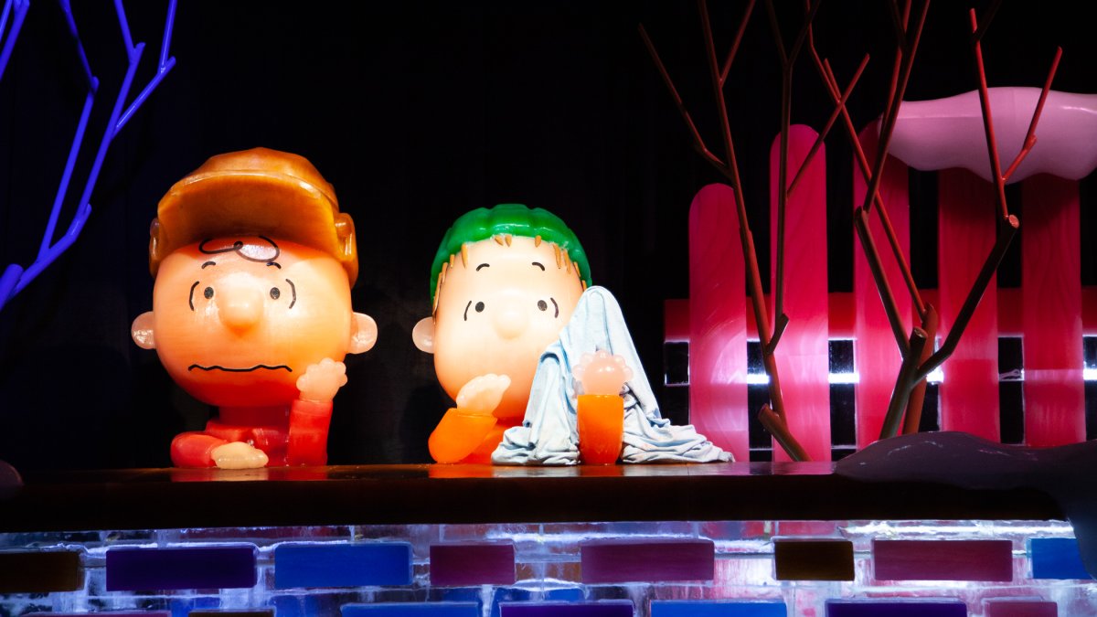 Photos: ‘A Charlie Brown Christmas’ at The Gaylord Texan Resort – NBC 5 ...