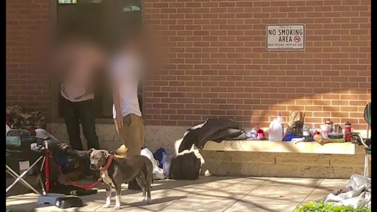 Homeless Camp Causing Concern at McKinney Public Library – NBC 5 Dallas ...