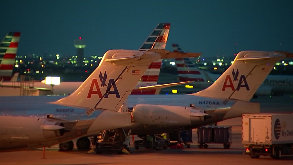 Family Suing American Airlines in Wrongful Death Case After 25-Year-Old ...