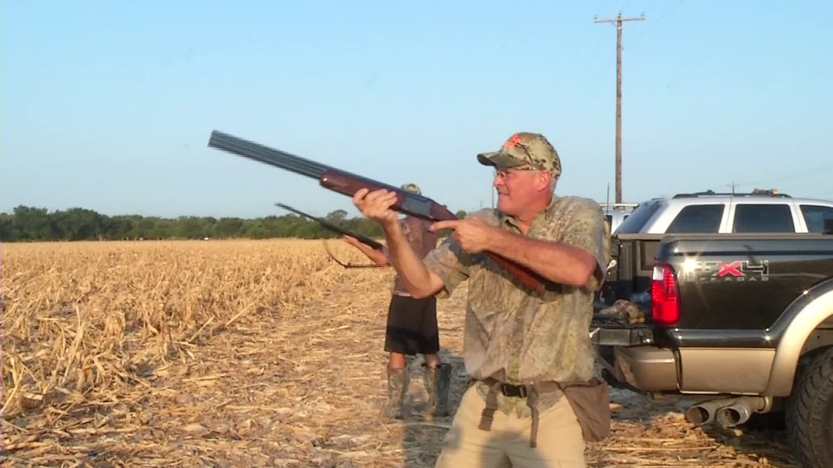 Dove season predicted to have high numbers – NBC 5 Dallas-Fort Worth