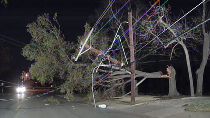 High Winds Down Trees, Power Lines – NBC 5 Dallas-Fort Worth