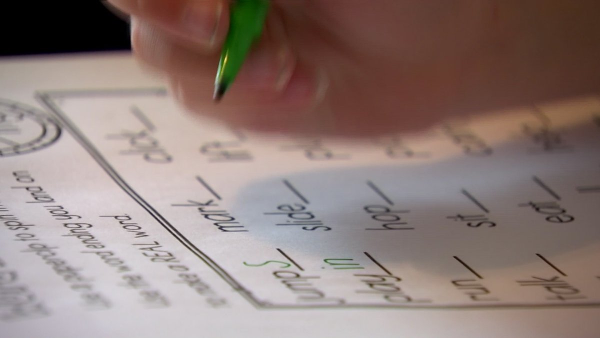 Plano Students Create Free Online Tutoring Service – NBC 5 Dallas-Fort ...
