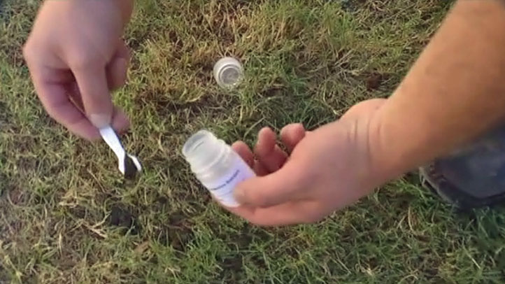 Enforce Pooper-Scooper Rules With DNA Testing? – NBC 5 Dallas-Fort Worth