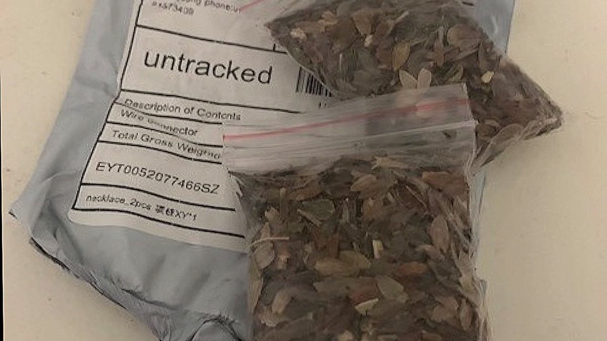 Texas Agriculture Commissioner Issues Warning on Unsolicited Seeds From ...