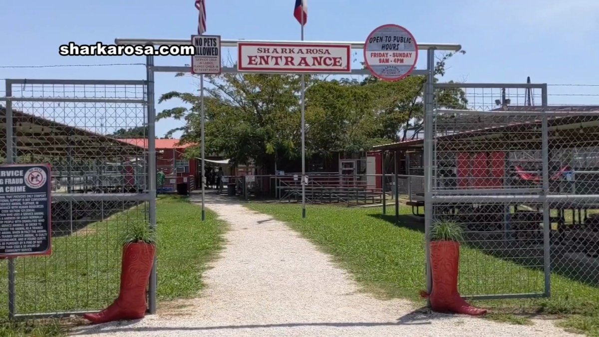 Field Trip Cancellations Hurt North Texas Wildlife Ranch – NBC 5 Dallas ...