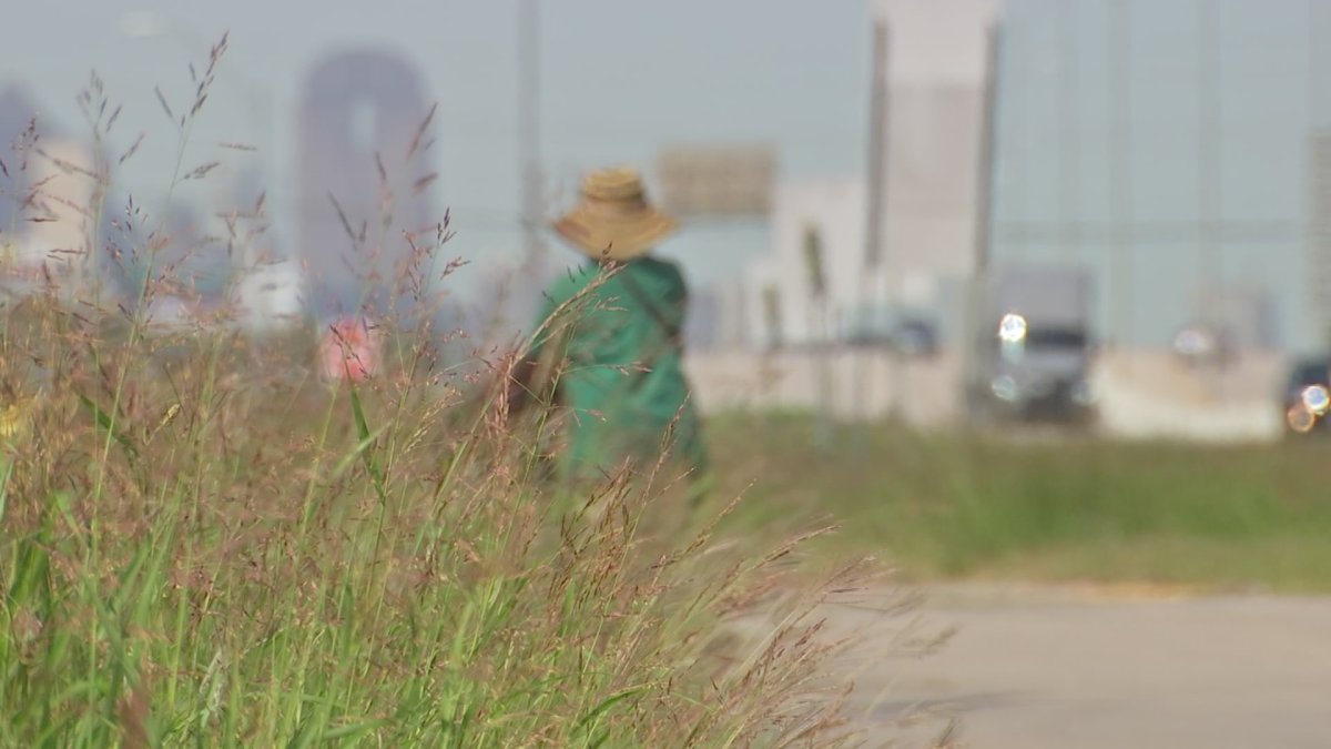 Neighbors Complain About Trashy Dallas Freeways – NBC 5 Dallas-Fort Worth