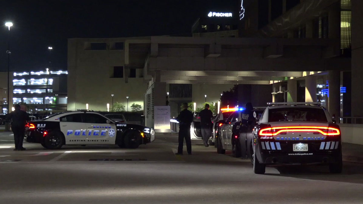 Crime Rate, Drug Enforcement of Concern at Public Safety Committee ...