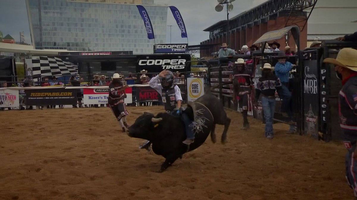 Miniature Bull Rider Hopes to Make History in PBR – NBC 5 Dallas-Fort Worth
