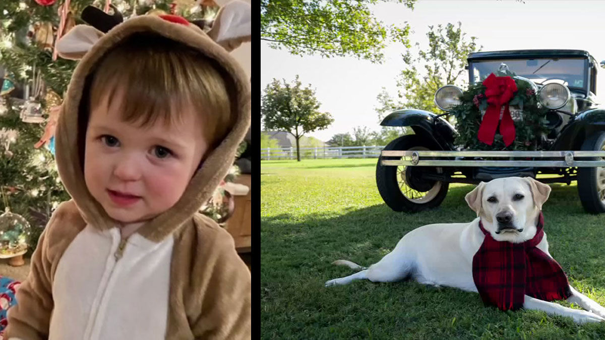 Holiday Photos: Easton and Cooper – NBC 5 Dallas-Fort Worth