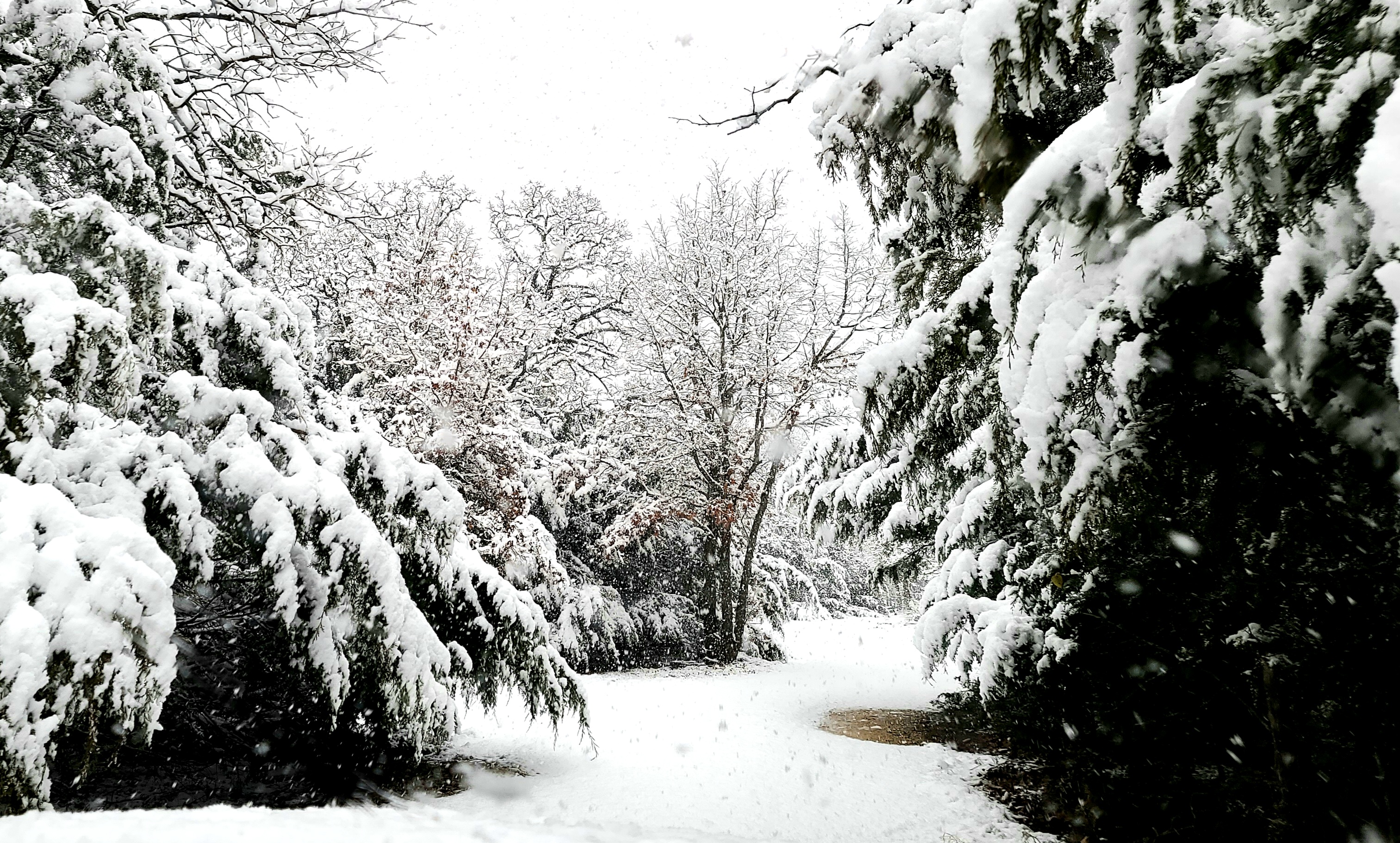 Viewers Share Photos as Snow Falls on North Texas – Gallery VII – NBC 5 ...