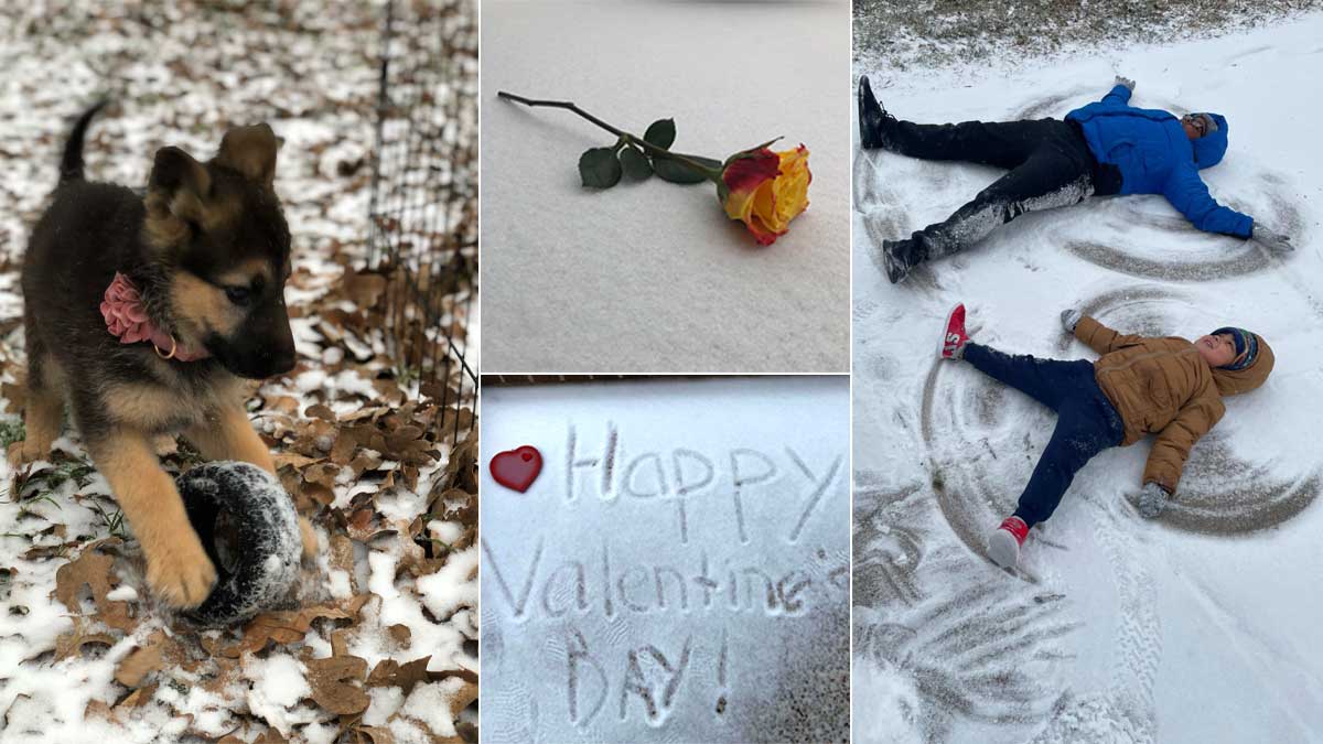 Your Winter Storm Photos, Valentines Day 2021, II – NBC 5 Dallas-Fort Worth
