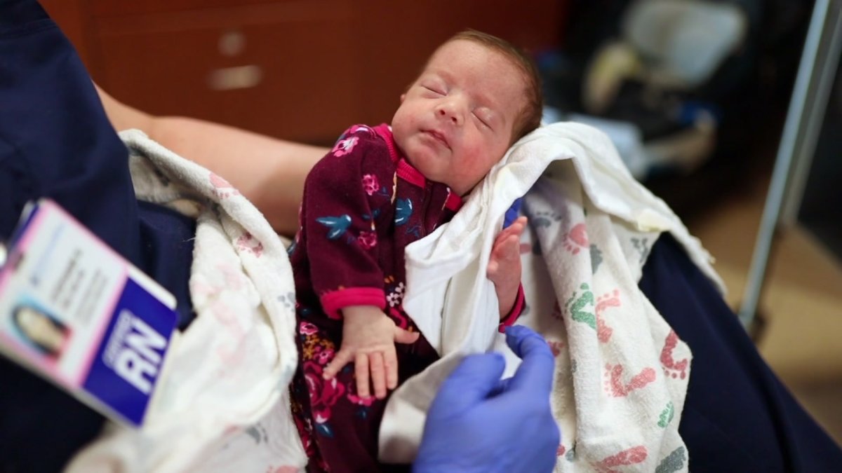 North Texas Family Welcomes Rare Set Of Twins – NBC 5 Dallas-Fort Worth