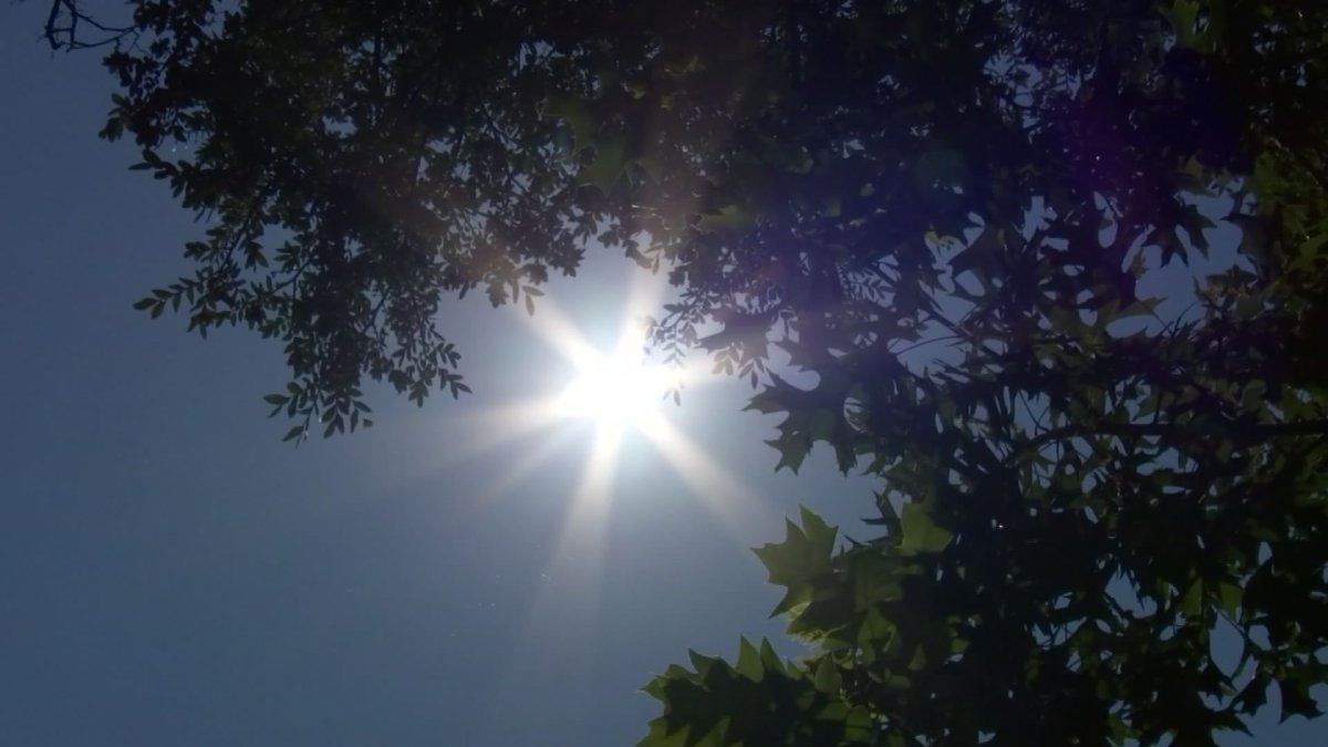 Tips to Remember in the Heat, Signs of Heat Exhaustion and Stroke – NBC ...