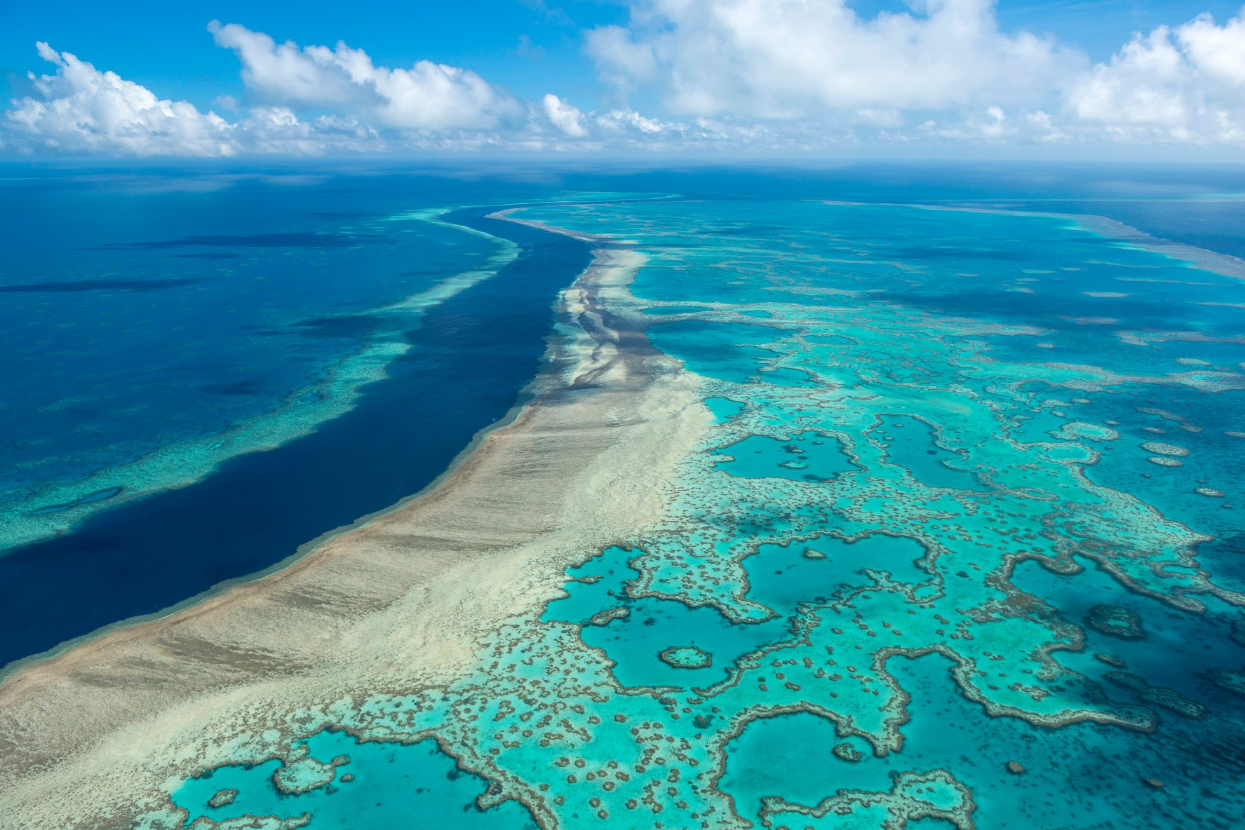 Australia Avoids UNESCO Downgrade Of Great Barrier Reef NBC 5 Dallas Australia Avoids UNESCO Downgrade Of Great Barrier Reef NBC 5 Dallas