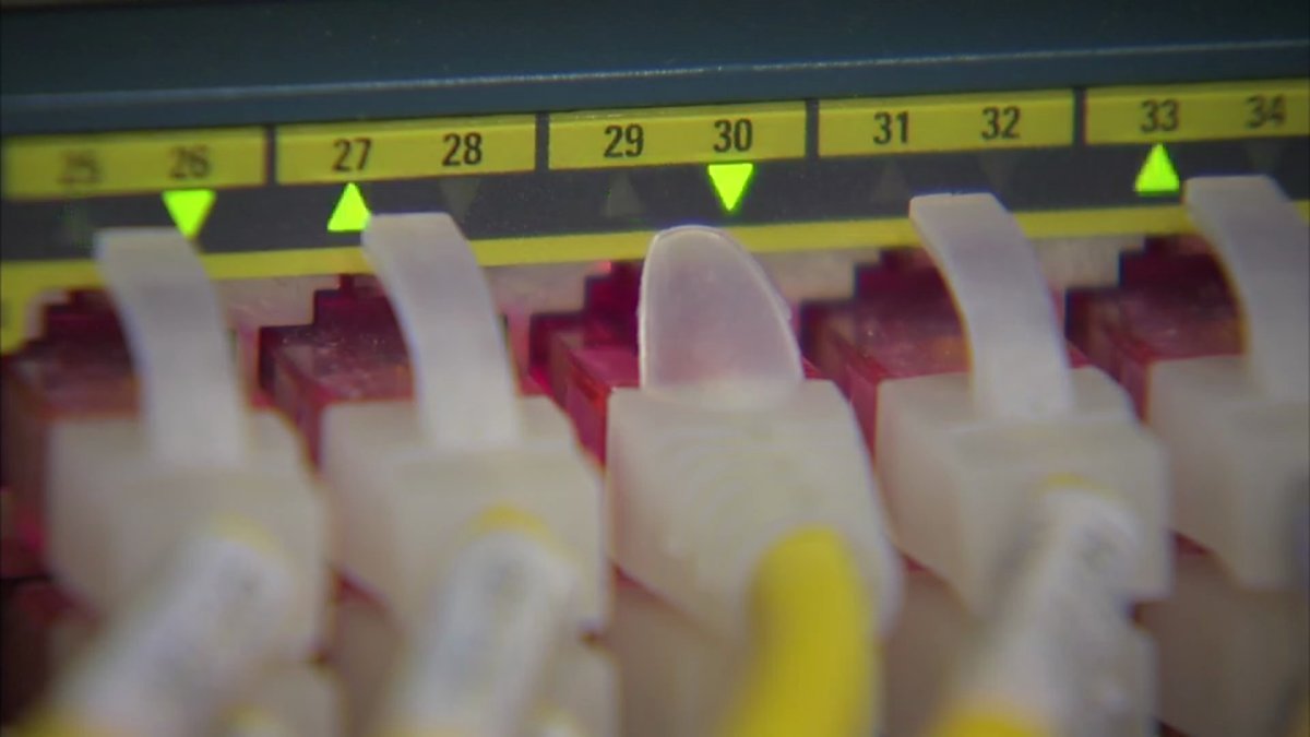 Dallas Officials Under Fire Over Police Data Loss Notification Delay ...