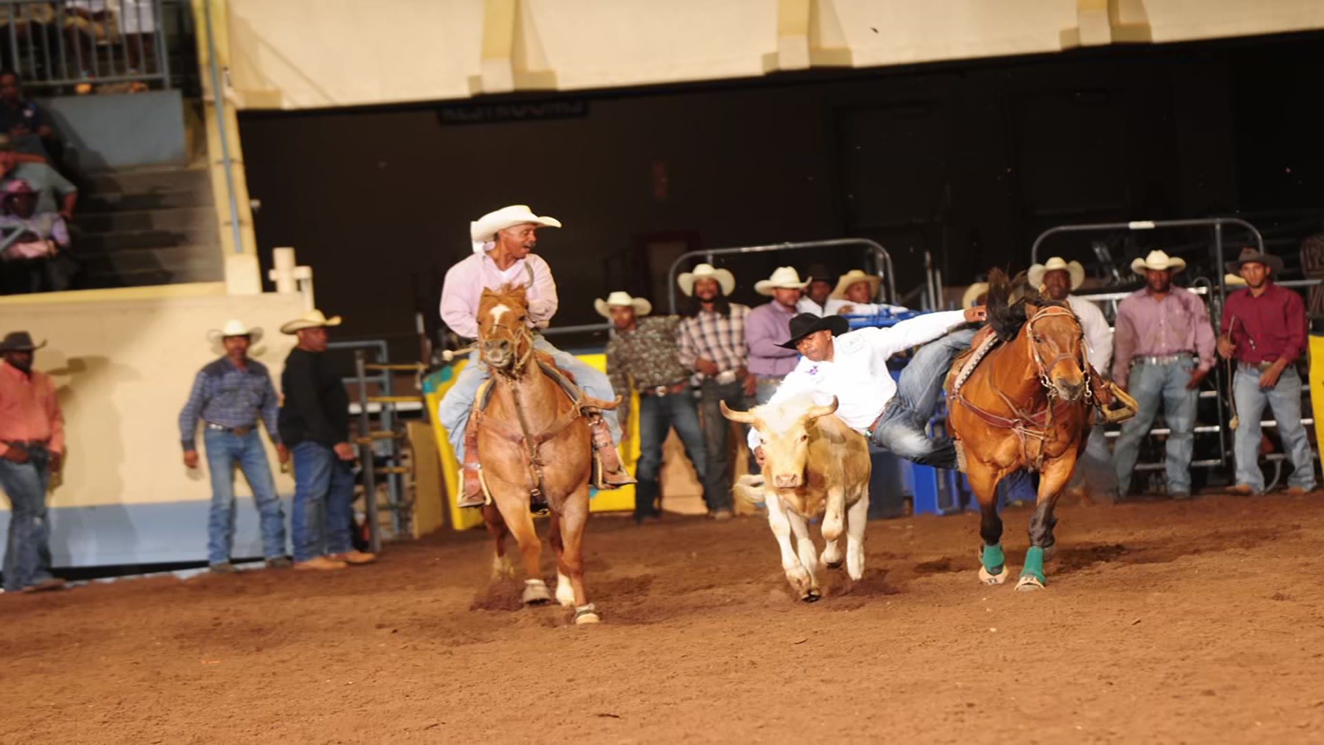 Anitimated Rodeo Team Roping