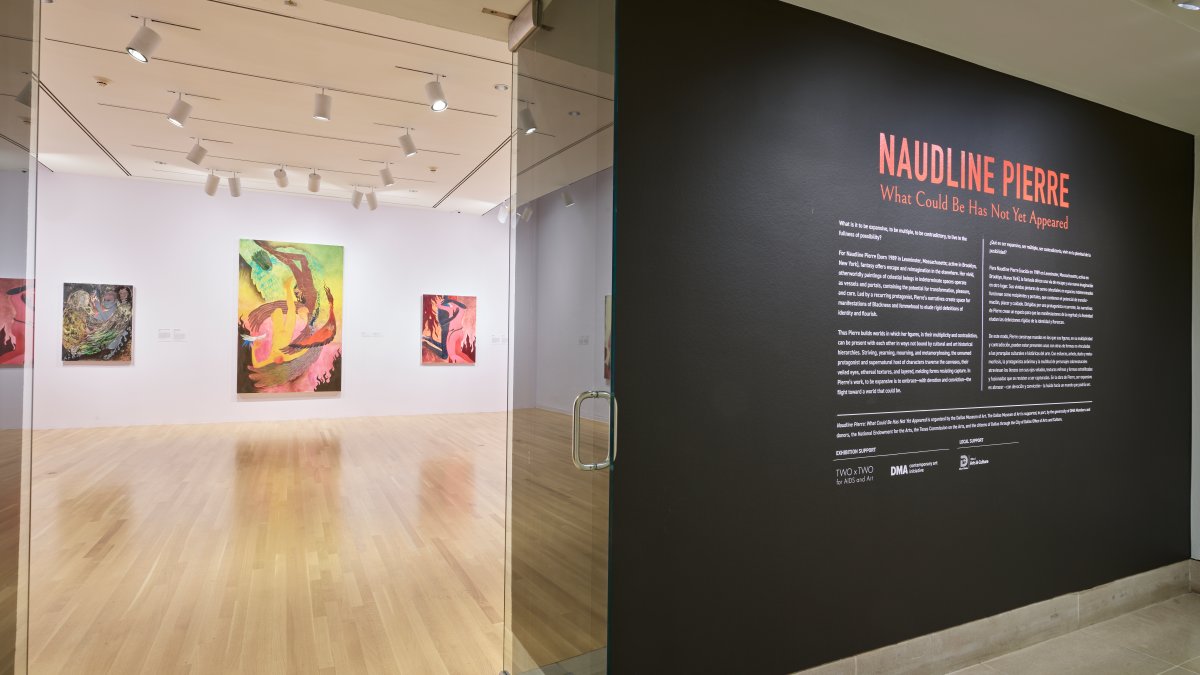 The World of Naudline Pierre at the Dallas Museum of Art – NBC 5 Dallas ...