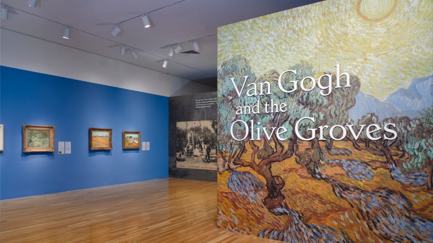 How Van Gogh Found Spiritual Consolation in an Olive Grove – NBC 5 ...