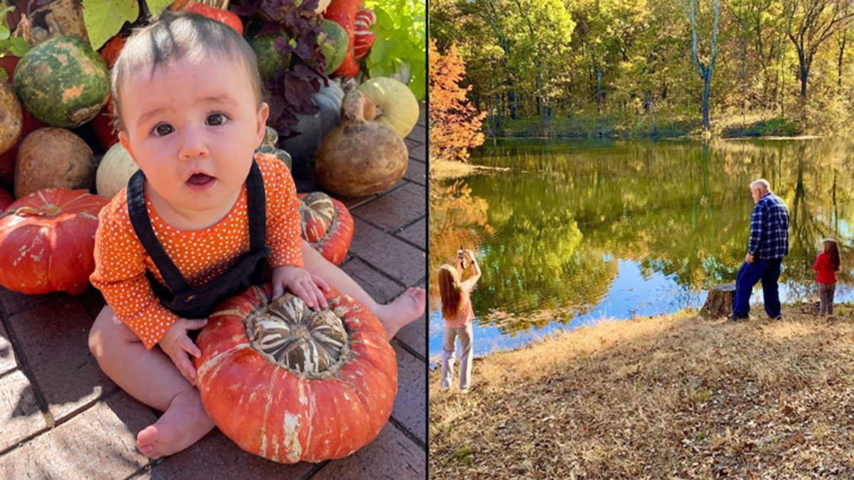 Fall Photos: Violet, Morgan and Maren – NBC 5 Dallas-Fort Worth