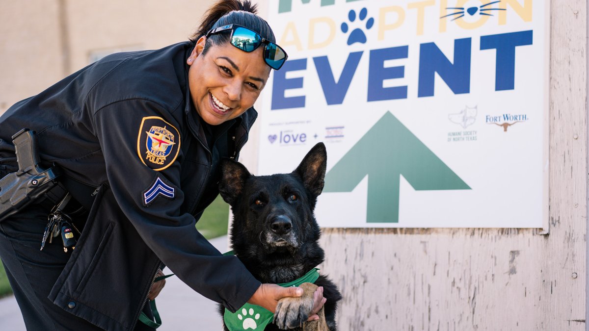 Humane Society of North Texas Helps More Than 500 Pets Find Their ...