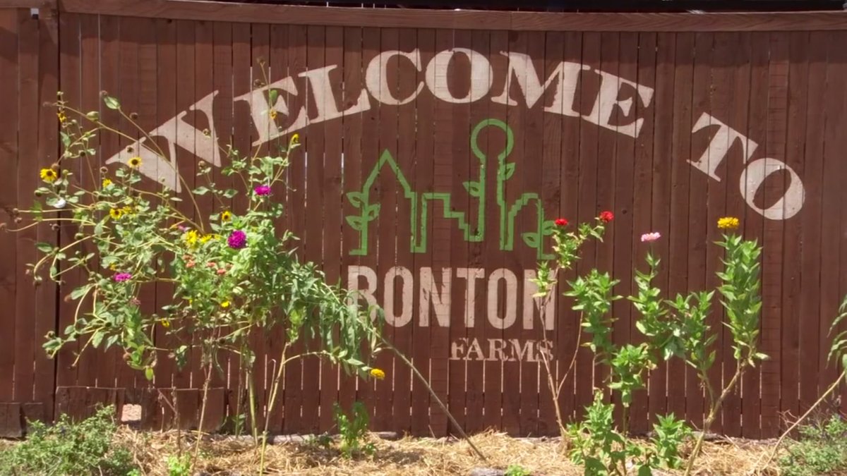 Bonton Farms to Announce Expansion Plan, Fundraising Effort – NBC 5 ...