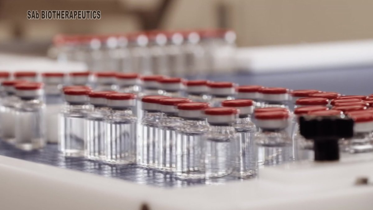 Trial Underway for COVID-19 Polyclonal Antibodies – NBC 5 Dallas-Fort Worth