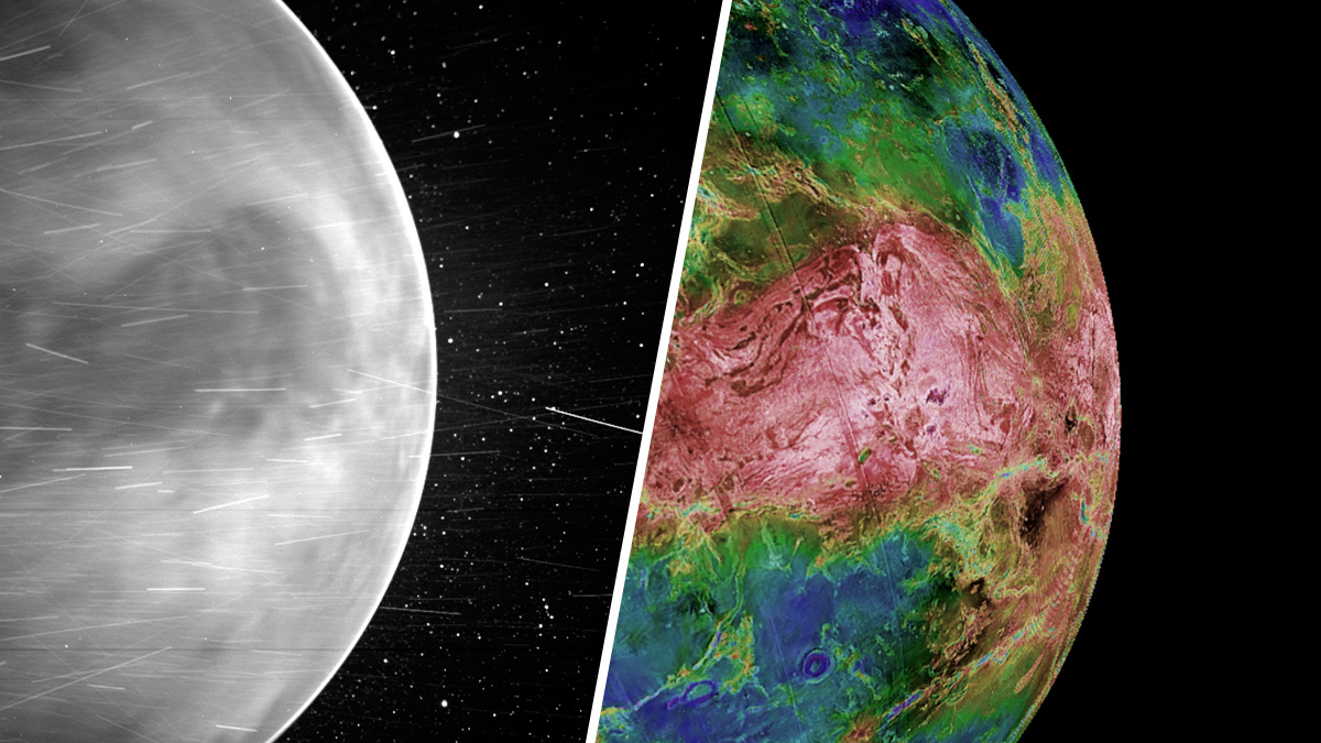 Dark Side of Venus Revealed in New NASA Photos – NBC 5 Dallas-Fort Worth