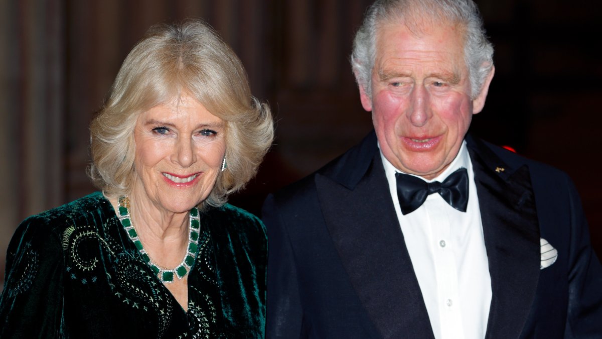 Prince Charles’ Wife Camilla Tests Positive for COVID-19, Days After ...
