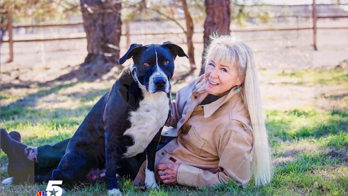Nominate A Local Animal Hero: Deborah Haller – NBC 5 Dallas-Fort Worth