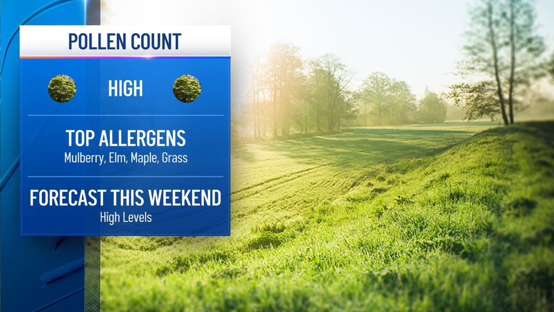 Pollen Levels Stay High Through the Weekend; Here’s What’s in the Air ...