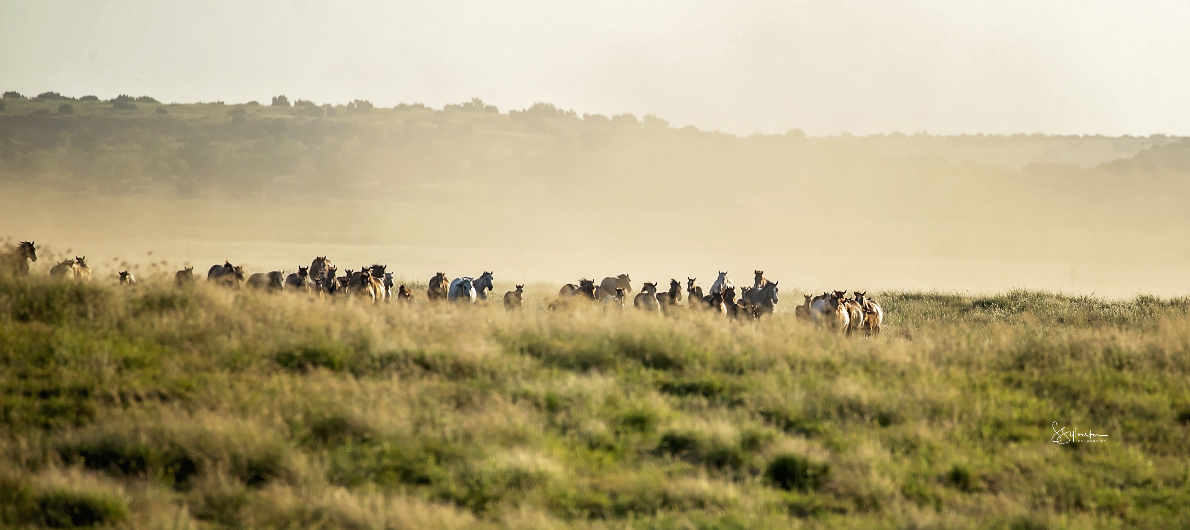 Photos: Historic West Texas 6666 Ranch Has a New Owner – NBC 5 Dallas ...