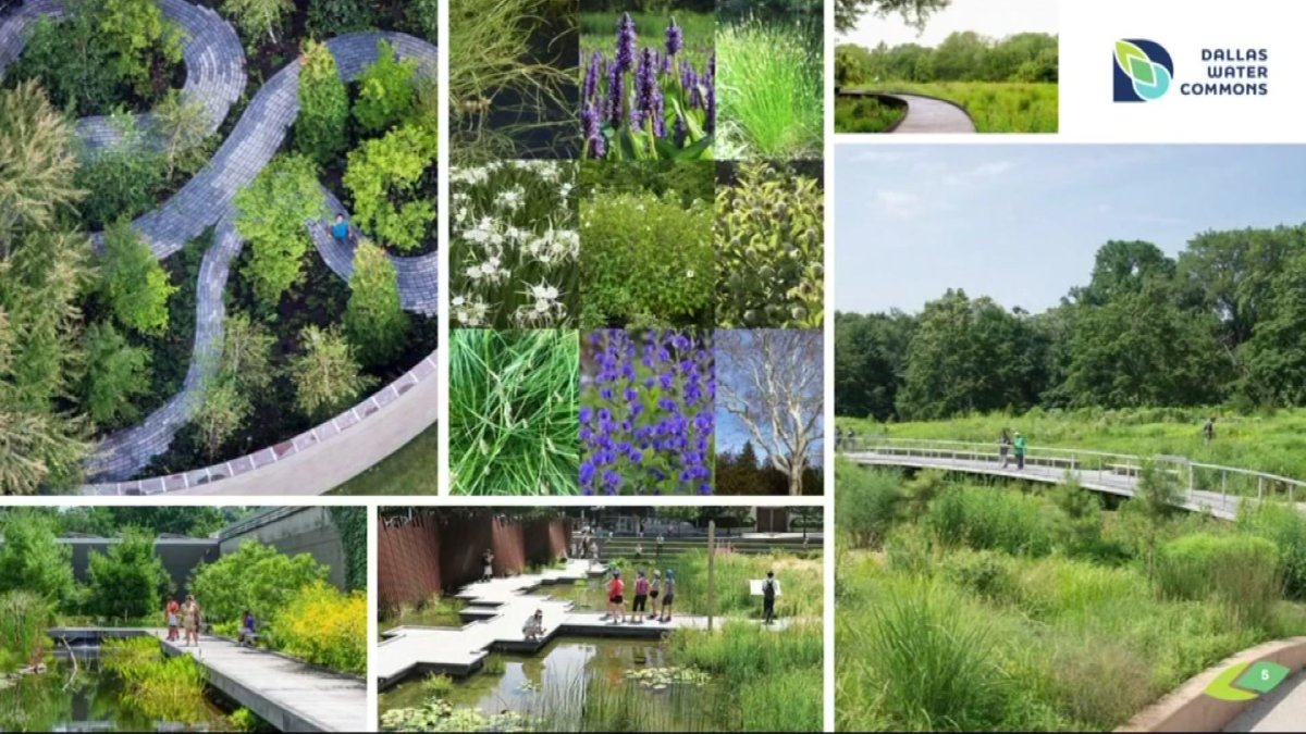 Dallas Water Commons Project Update Expected Thursday – NBC 5 Dallas ...
