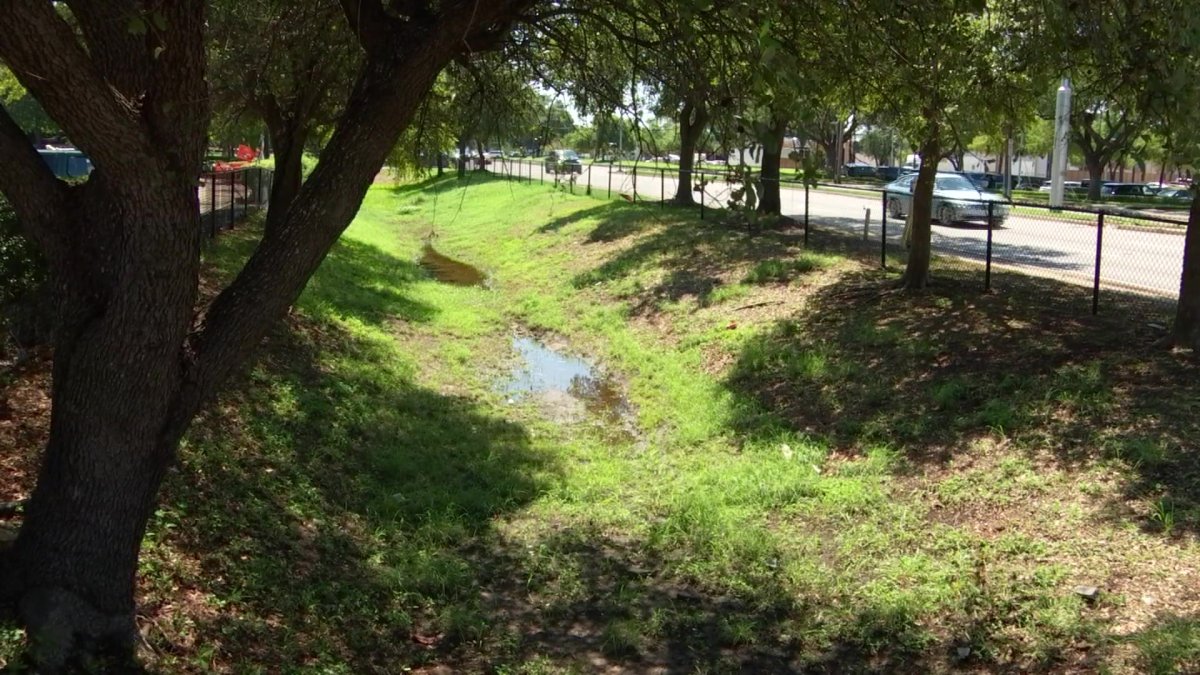 New Dallas Building Standards Can Reduce Storm Drainage – NBC 5 Dallas ...