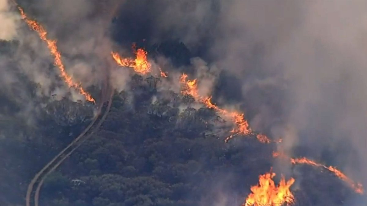 Texas Brushfire Grows to 150 Acres – NBC 5 Dallas-Fort Worth