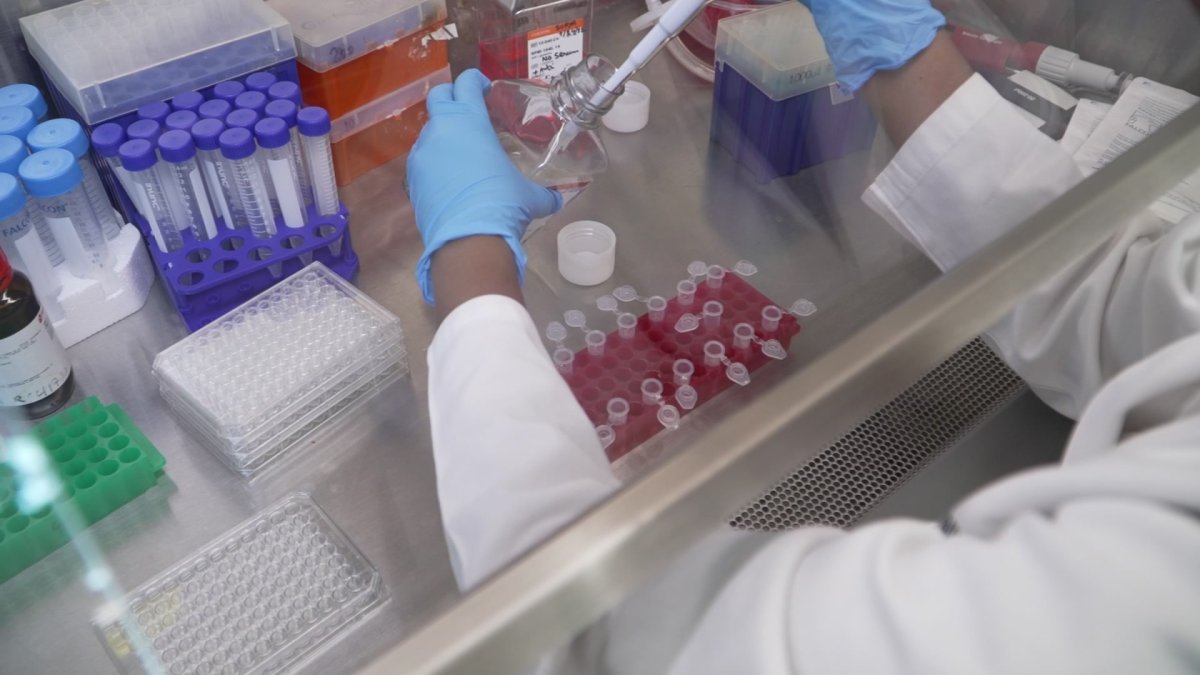New Compound May Help Treat Triple-Negative Breast Cancer – NBC 5 ...