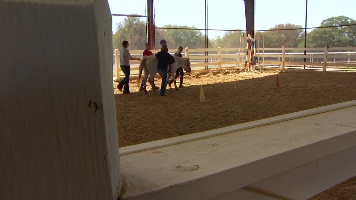 North Texas Equine Therapy Center Holds Fundraiser – NBC 5 Dallas-Fort ...