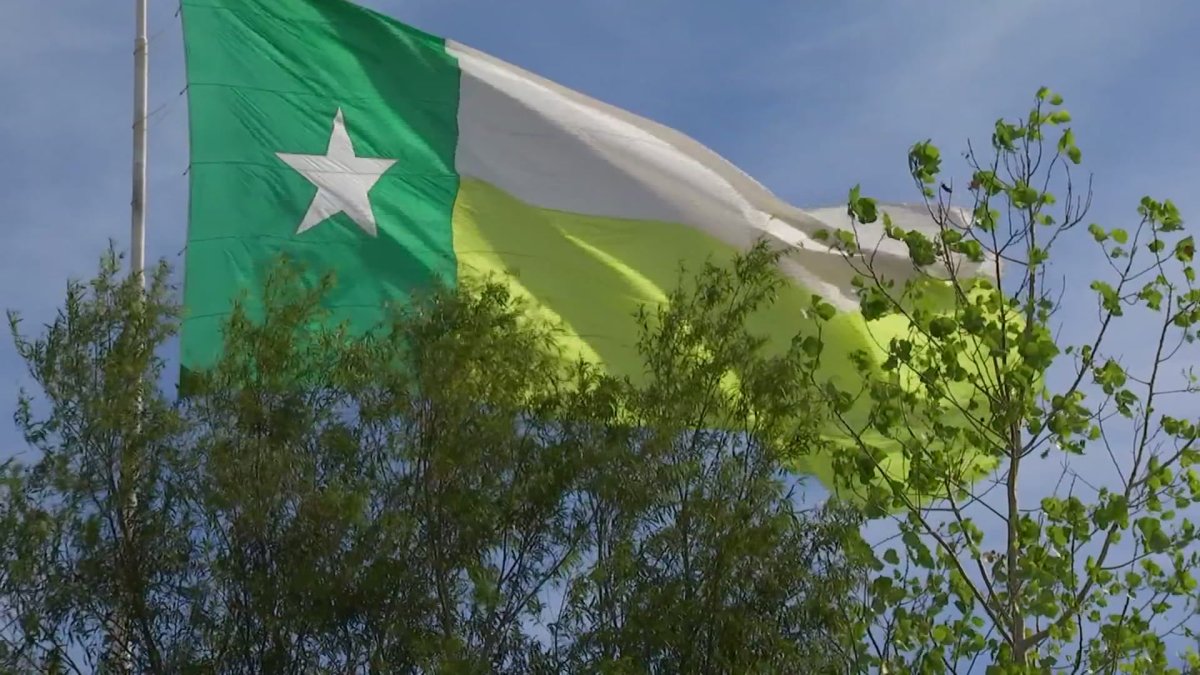 How UNT Is Studying Equity of Urban Forest Management – NBC 5 Dallas ...