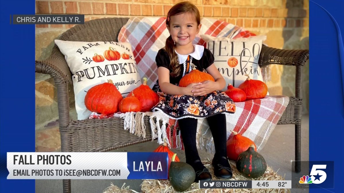 Fall Photos: Beau and Layla – NBC 5 Dallas-Fort Worth