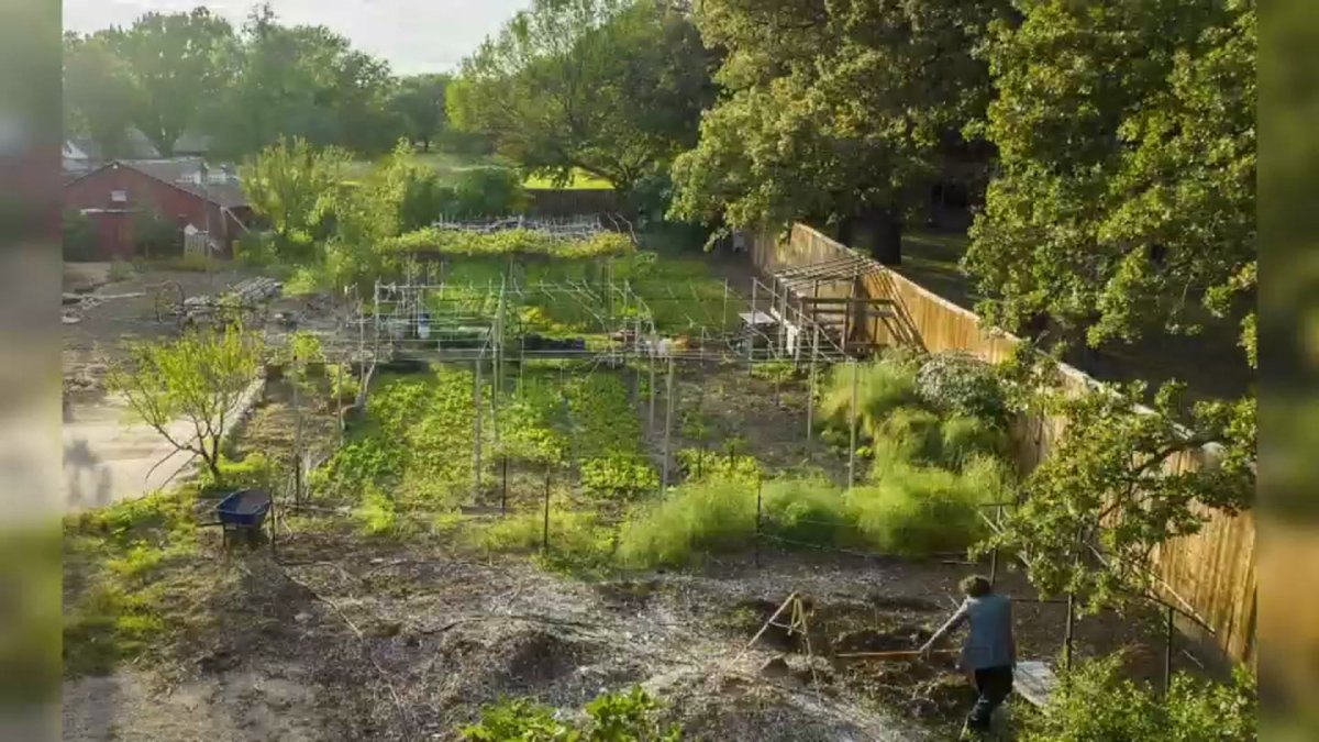 Urban Agriculture Growing in North Texas – NBC 5 Dallas-Fort Worth