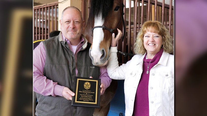 Family of Fallen Dallas Police Officer Donates Horse to Department ...