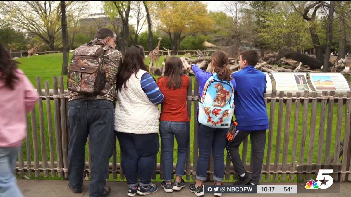 Save Time and Money With These Spring Break Secrets at Fort Worth Zoo ...