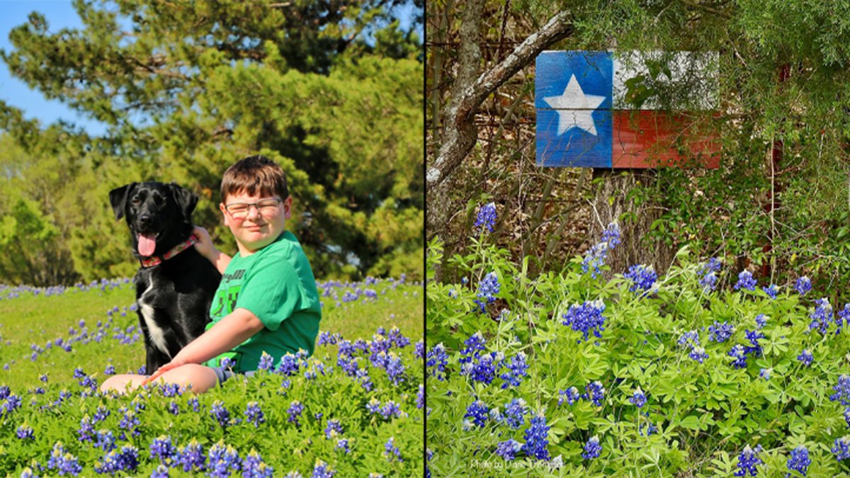 Bluebonnets in Bloom: Storm, Jacoby and Ennis Trails – NBC 5 Dallas ...