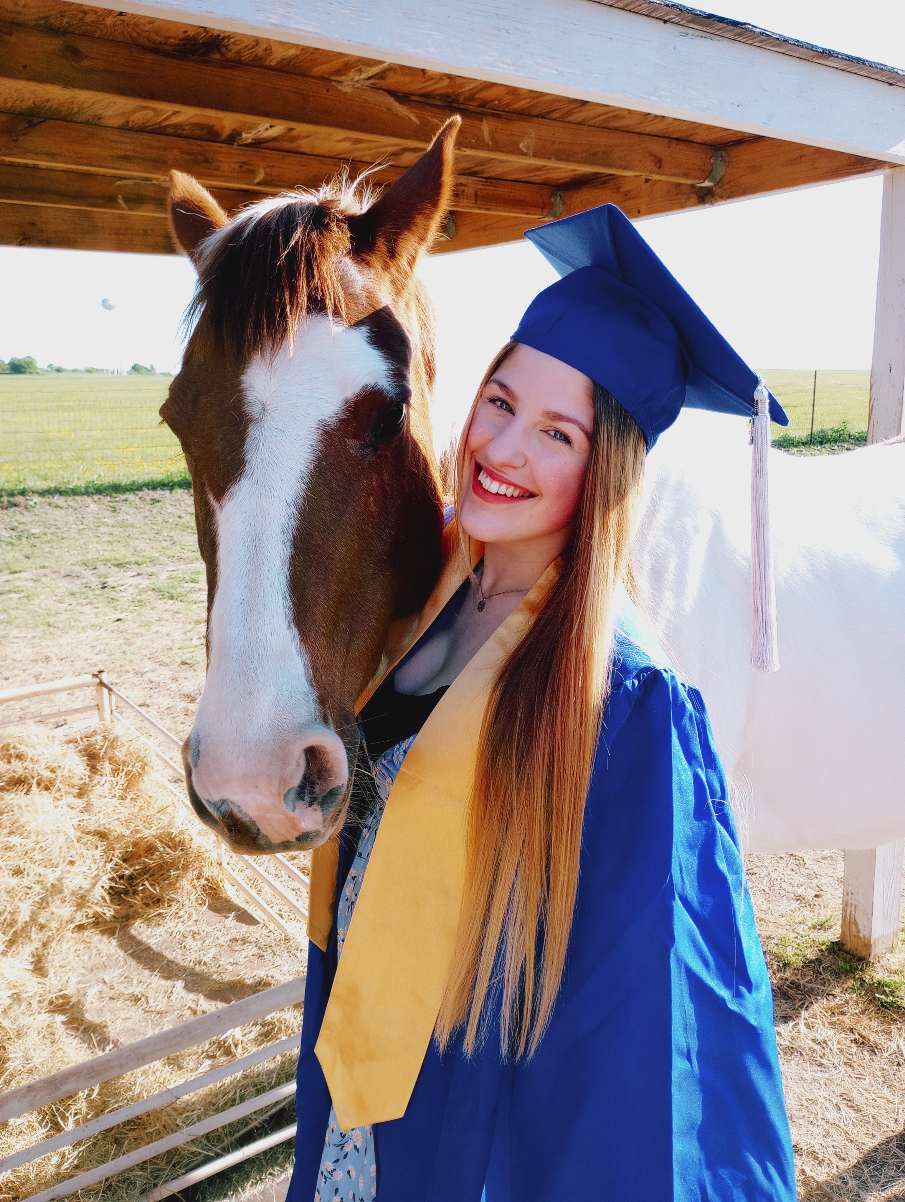 Celebrating the Class of 2023 – NBC 5 Dallas-Fort Worth